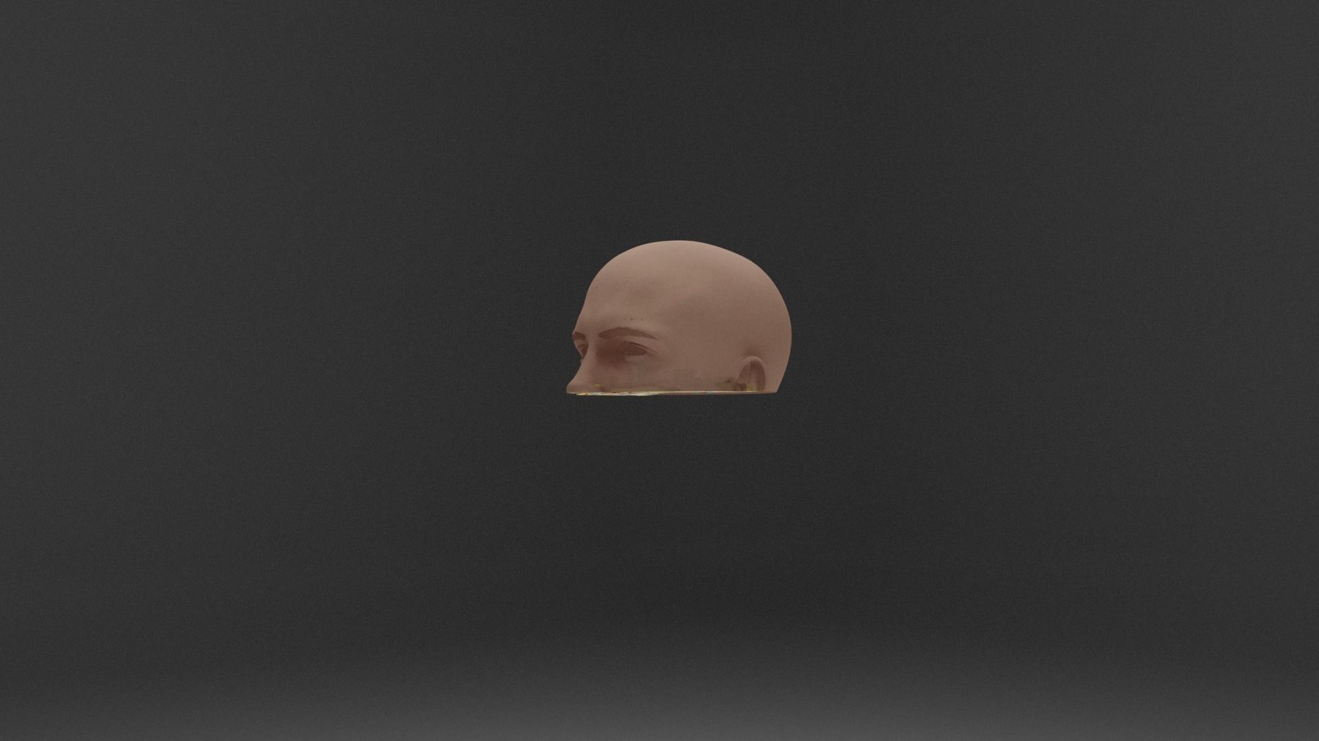 Nose and Maxillary Sinus Transverse Section 3D model | CGTrader