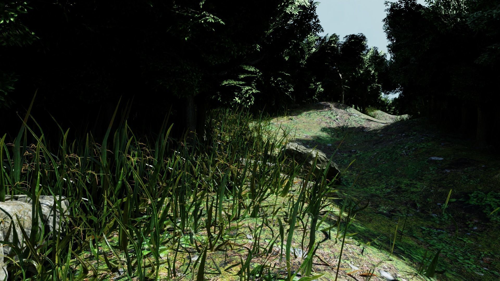 3D model low-ploy 3D models Forest VR / AR / low-poly | CGTrader