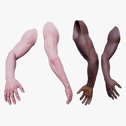 3D model First Person Arms - Collection 1 VR / AR / low-poly | CGTrader