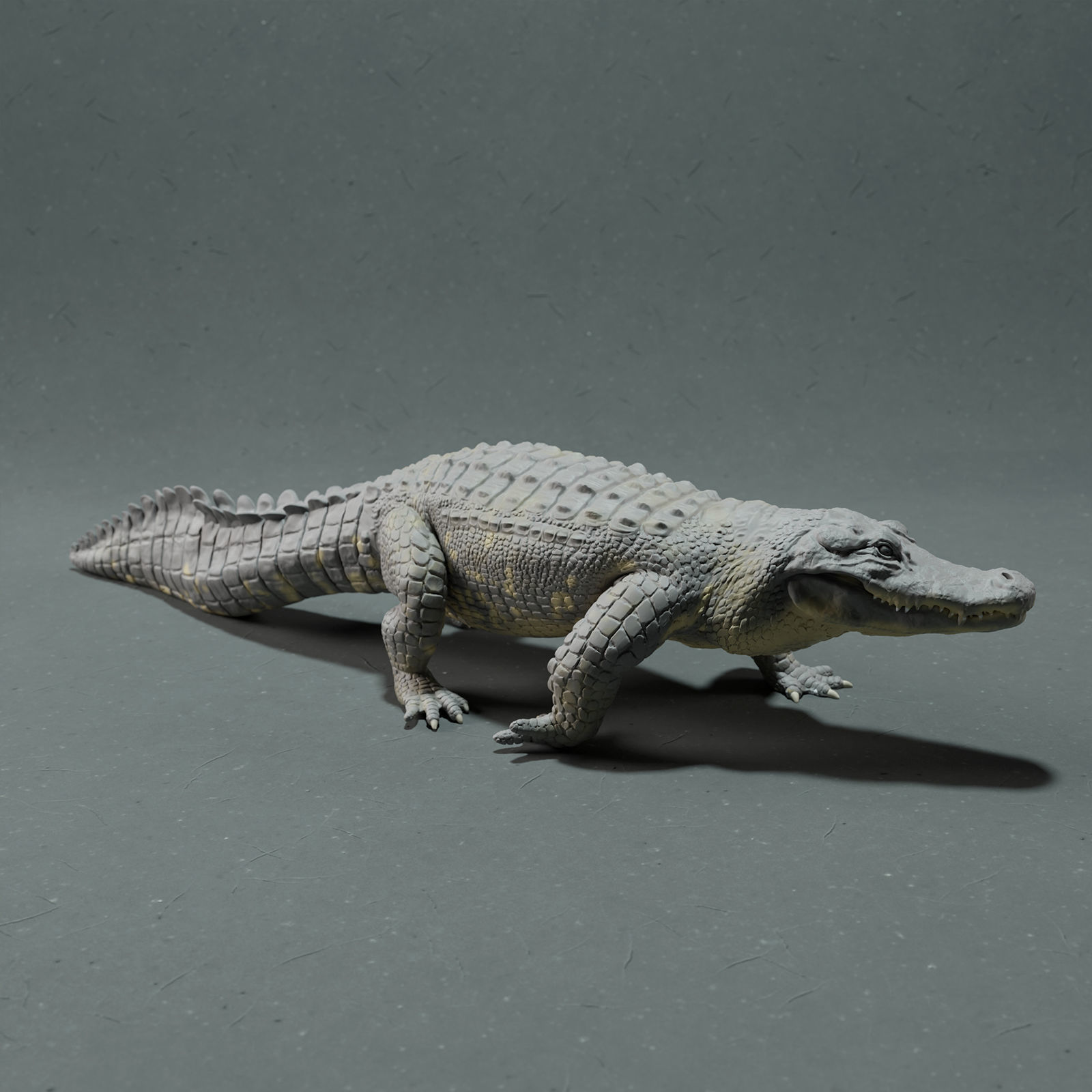 American Alligator 3D model 3D printable | CGTrader