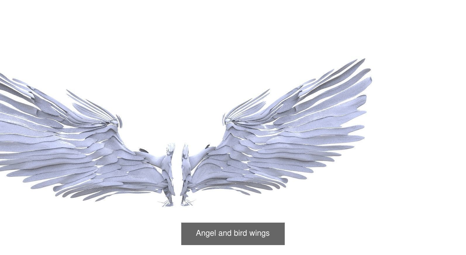 Angel Wings Collection 1 | CGTrader