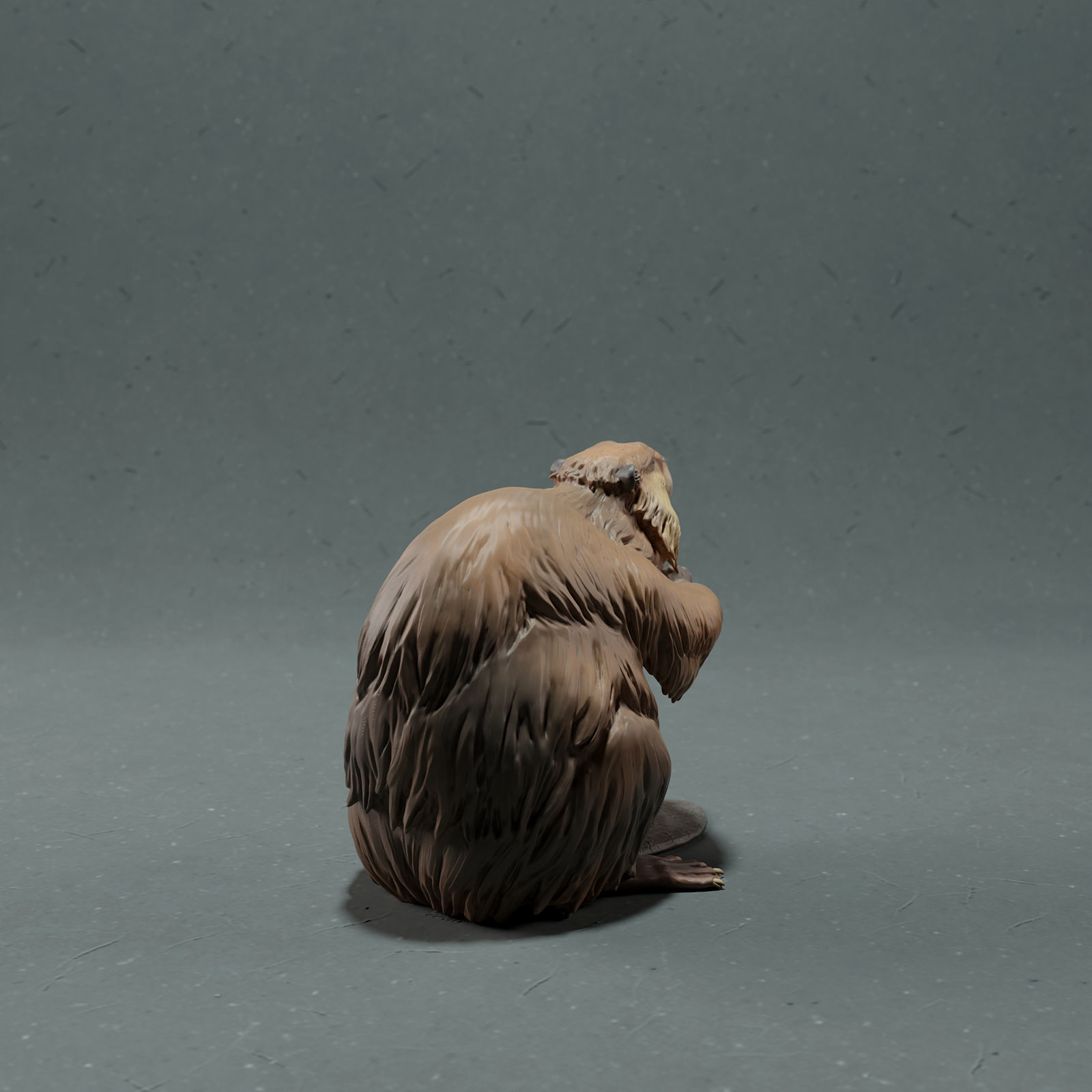 American Beaver 3D model 3D printable | CGTrader