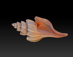 Shell 3D Printing Models | CGTrader