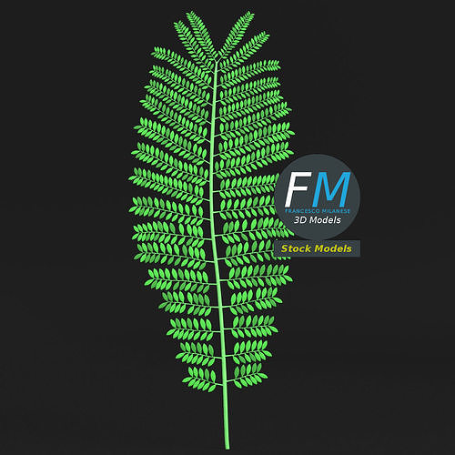 Double Compound Leaf