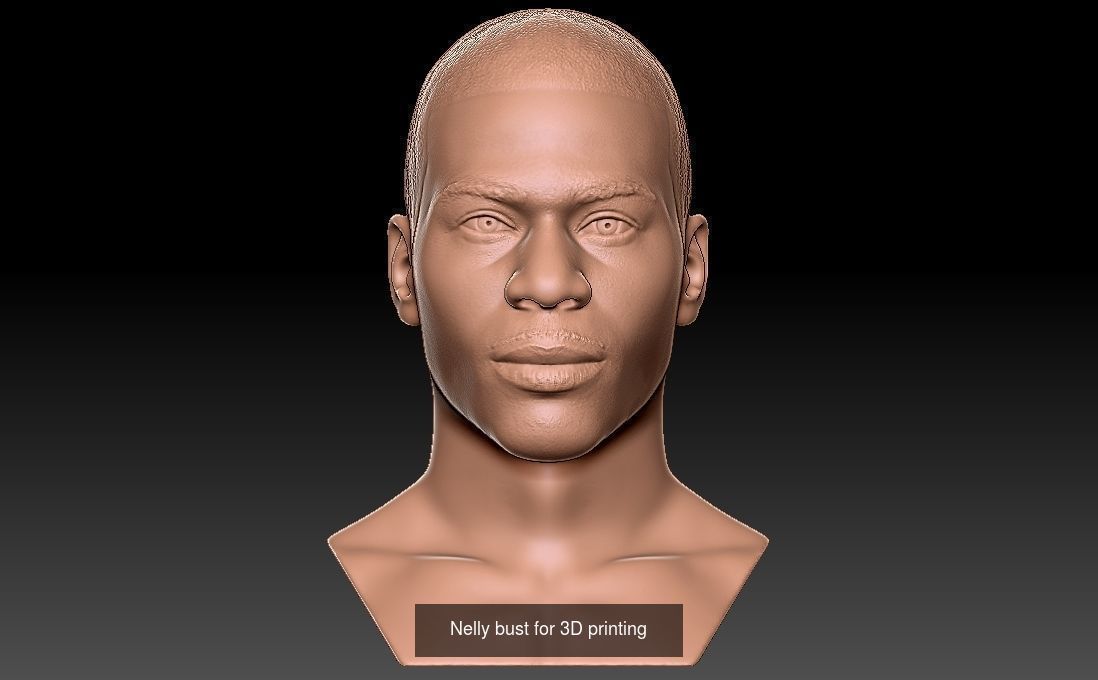 Famous Singers busts for 3D printing v2 3D Model Collection | CGTrader