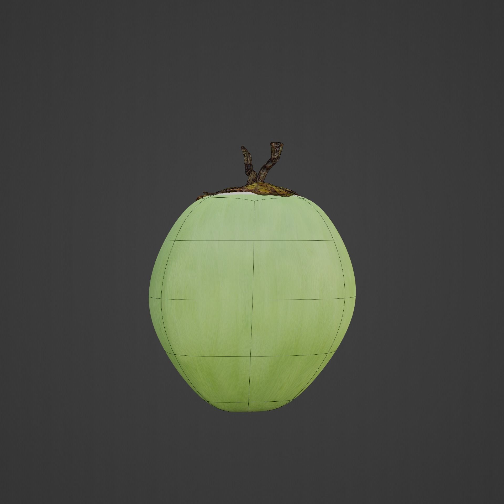Coconut model fruit 3D model | CGTrader