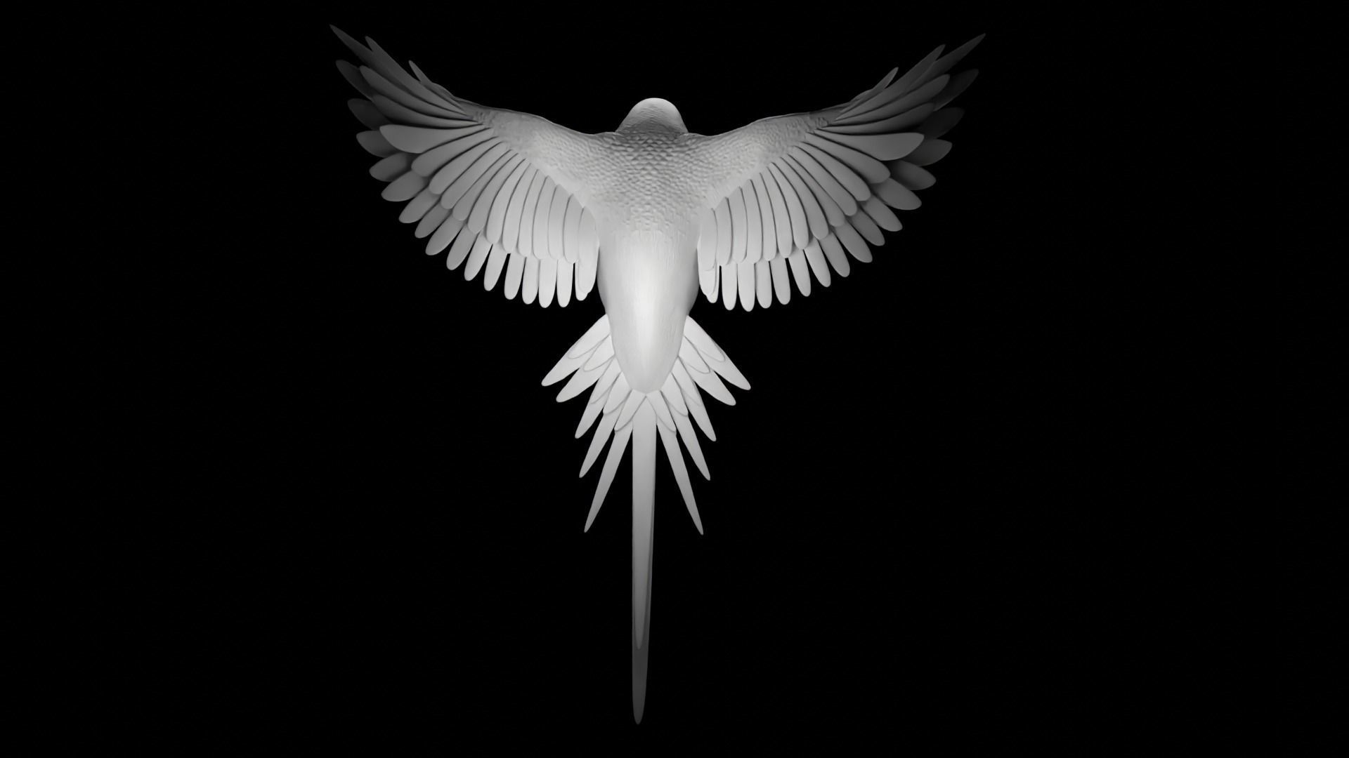 parrot 3D model 3D printable | CGTrader