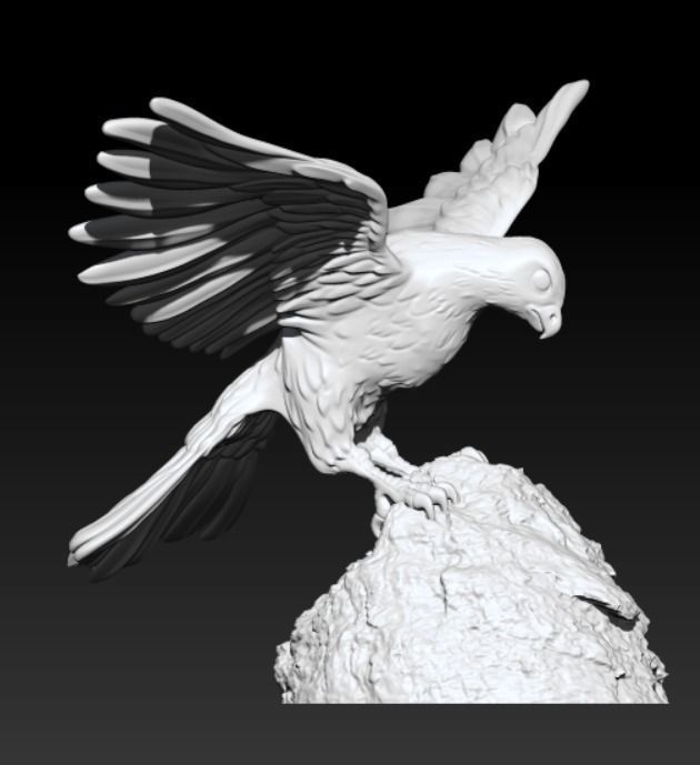 Falcon 3D model 3D printable | CGTrader