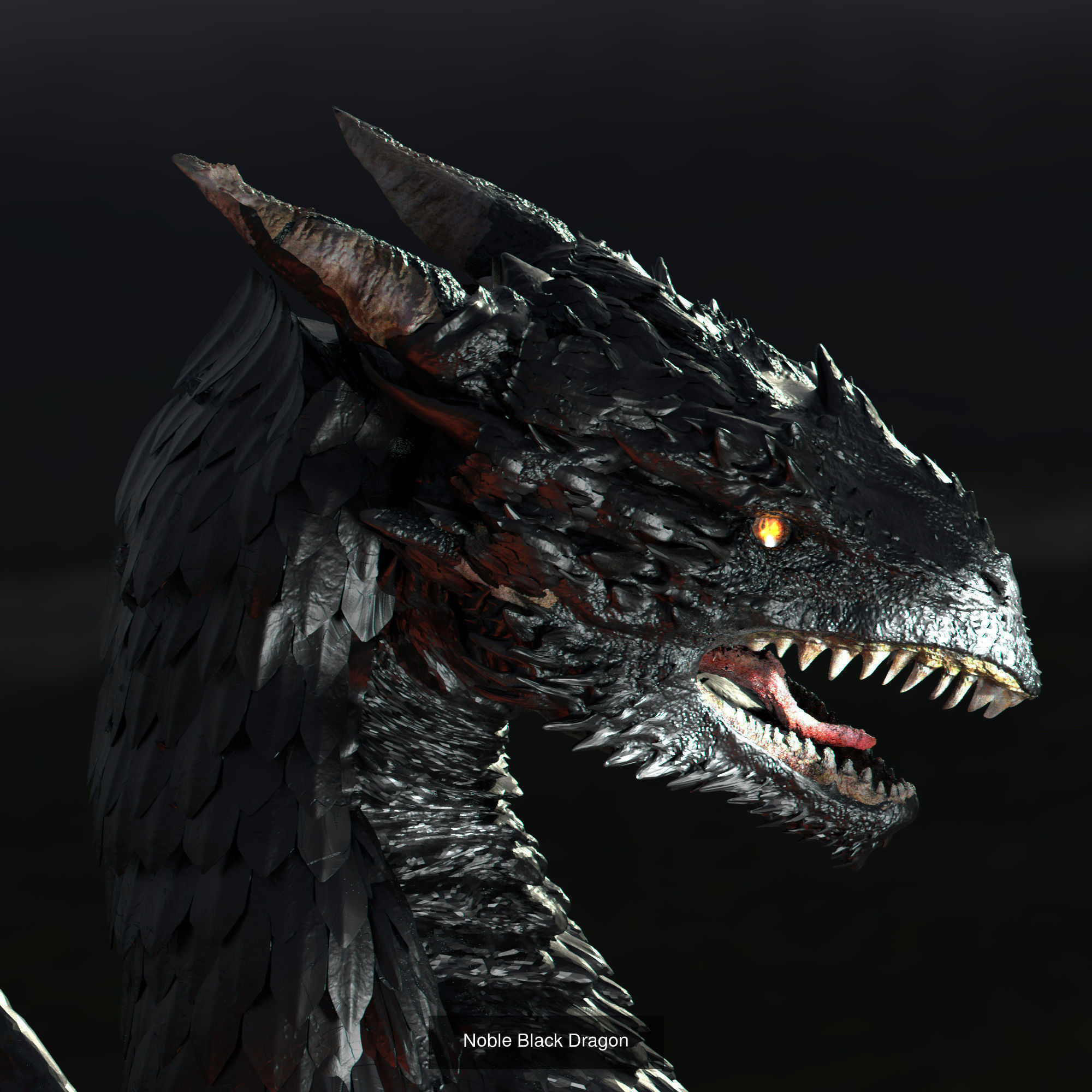 Dragon Collection 1 | CGTrader