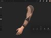 Procreate 3d Model - Right Arm male 3D model animated | CGTrader