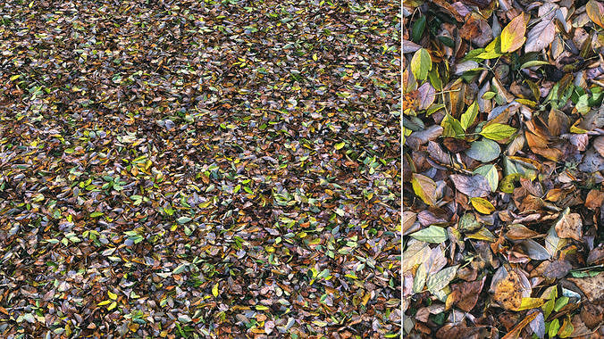 Autumn foliage material 04 3D model | CGTrader