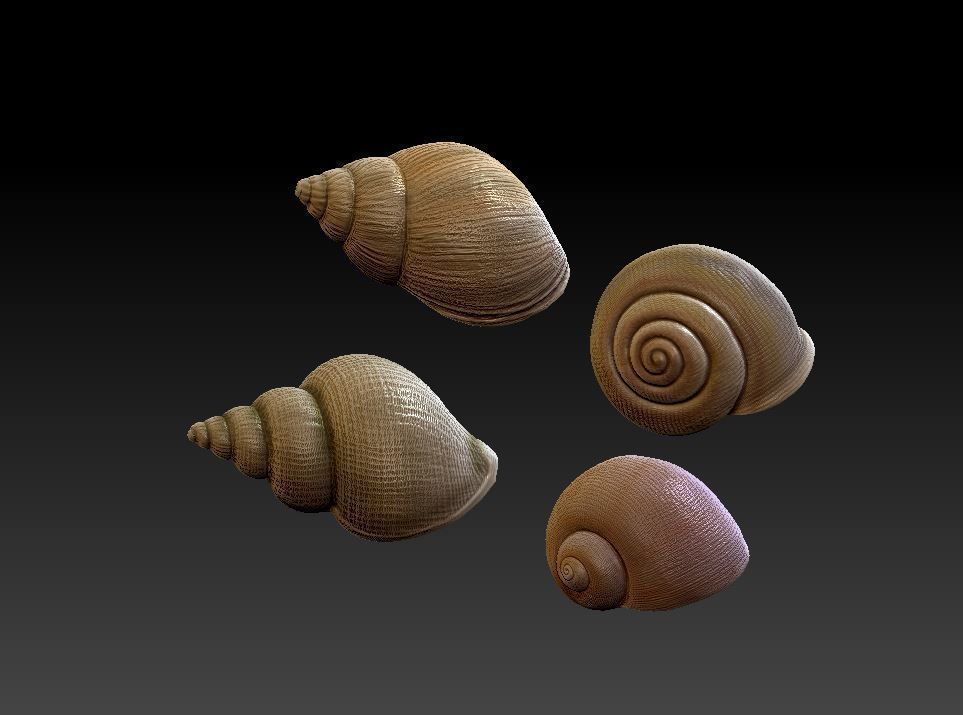 Snail set two snails 3D model 3D printable | CGTrader
