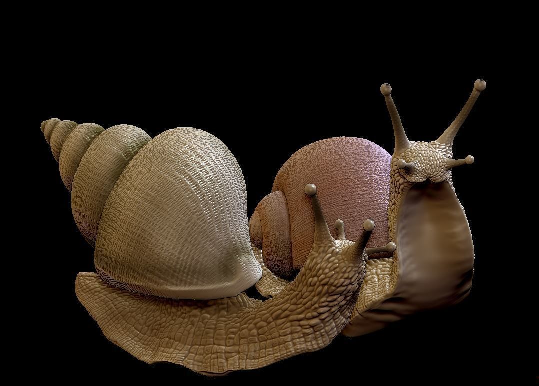 Snail set two snails 3D model 3D printable | CGTrader