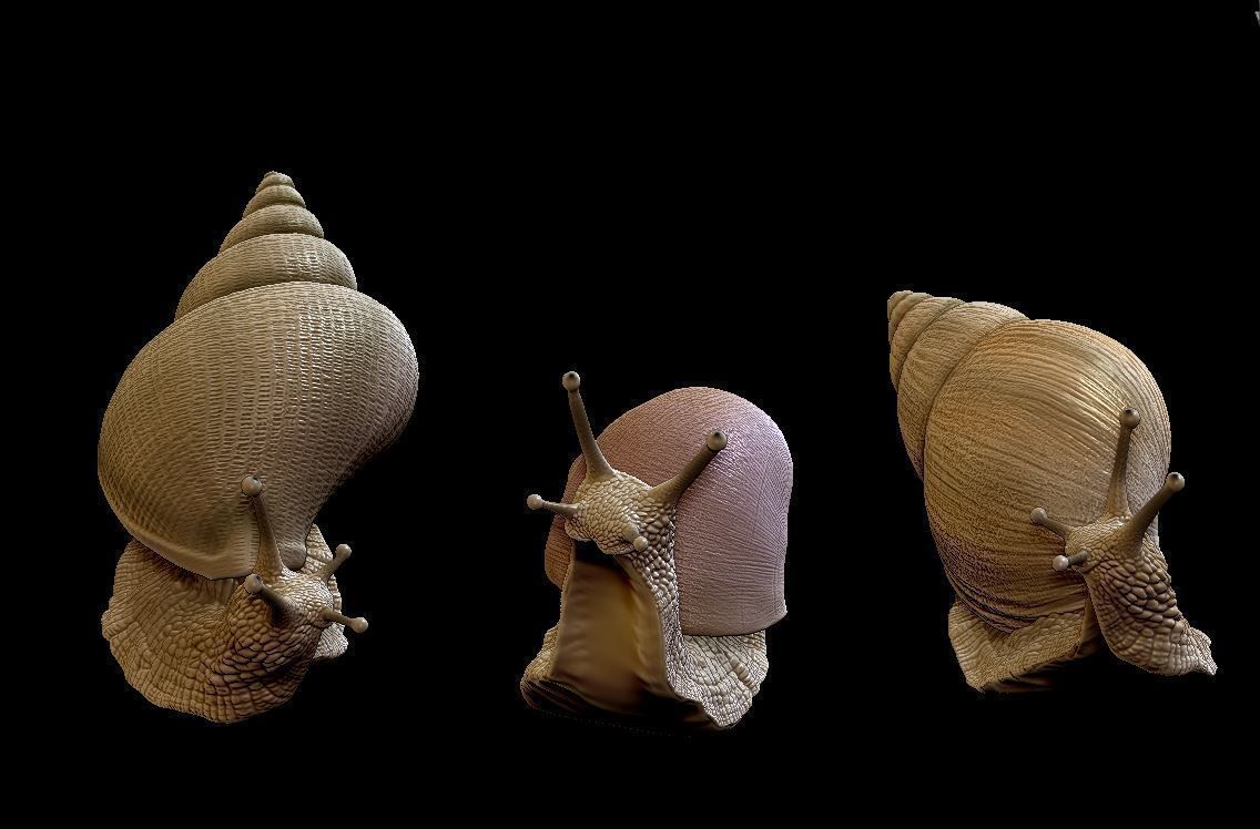 Snail set two snails 3D model 3D printable | CGTrader