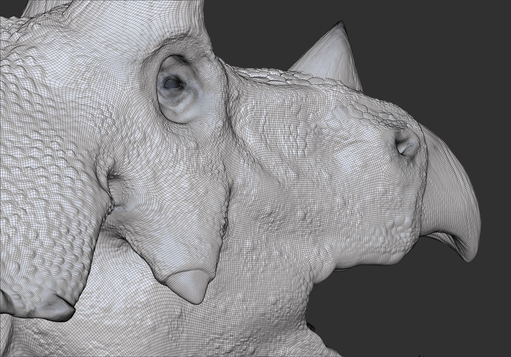 Triceratops Sculpt Project 3D model | CGTrader