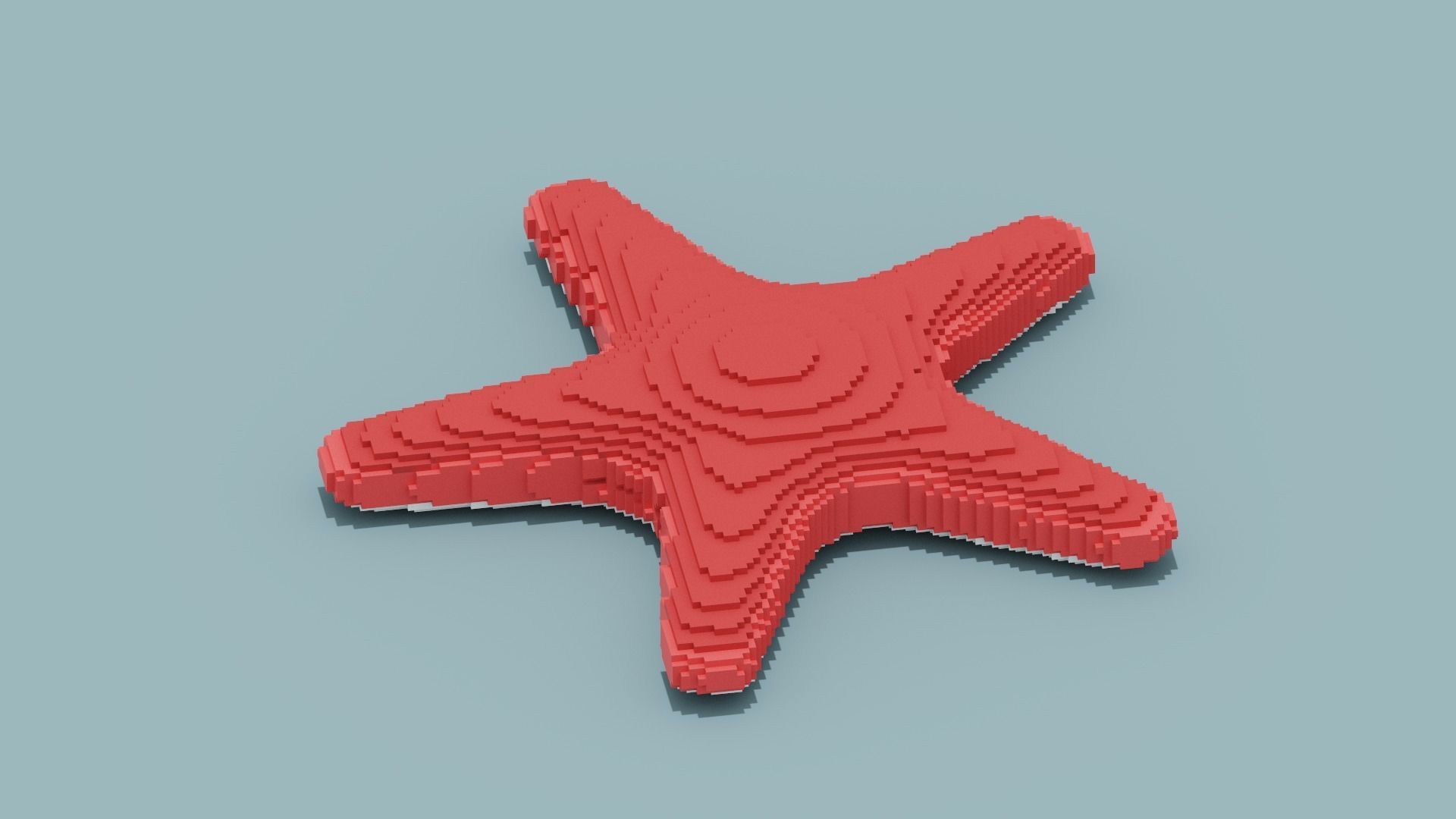 3D model Voxel Starfish VR / AR / low-poly | CGTrader
