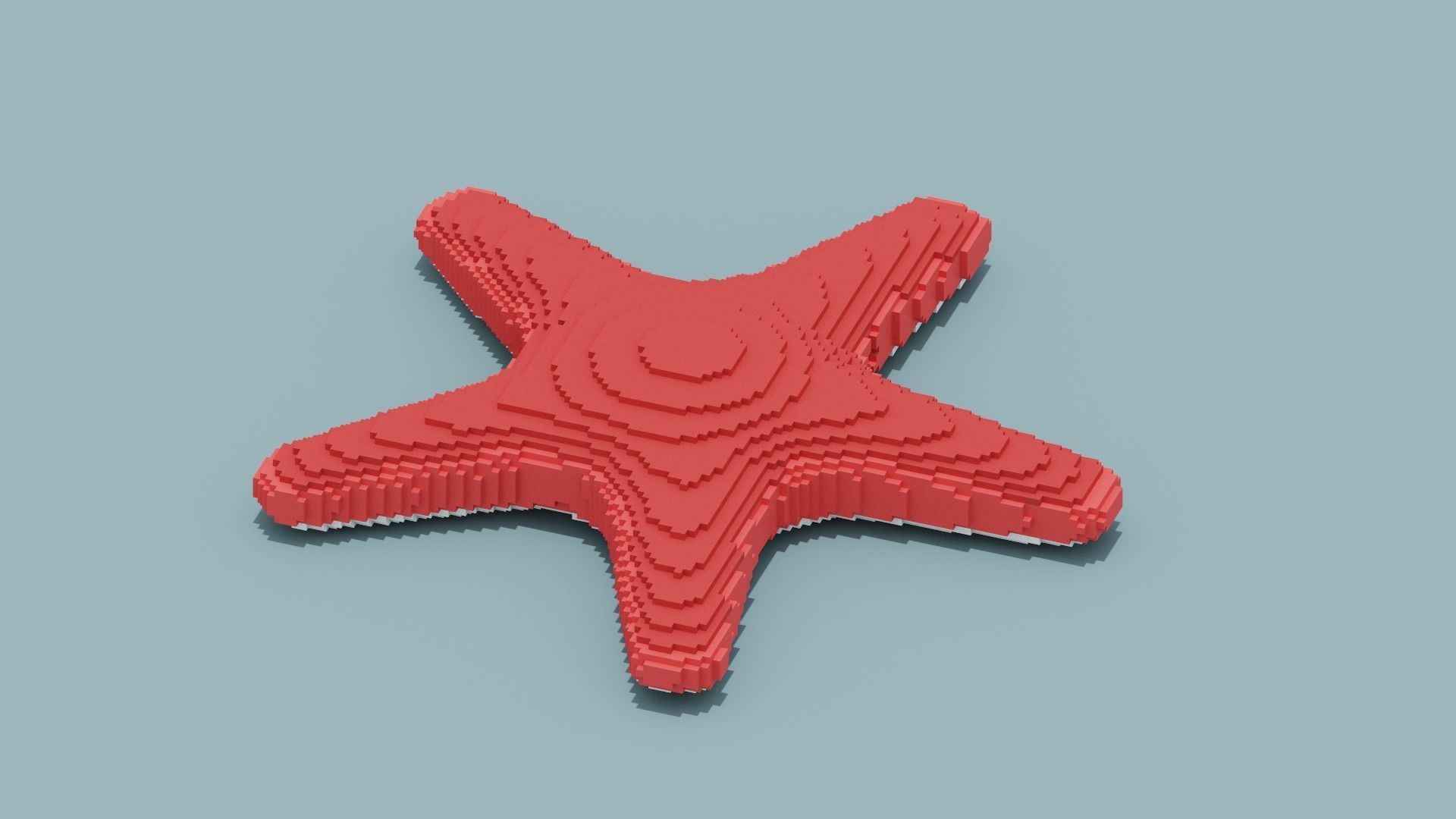 3D model Voxel Starfish VR / AR / low-poly | CGTrader