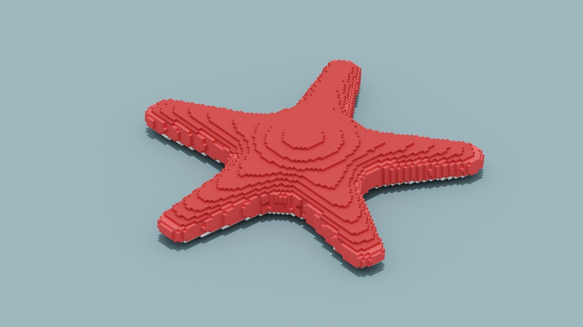 3D model Voxel Starfish VR / AR / low-poly | CGTrader