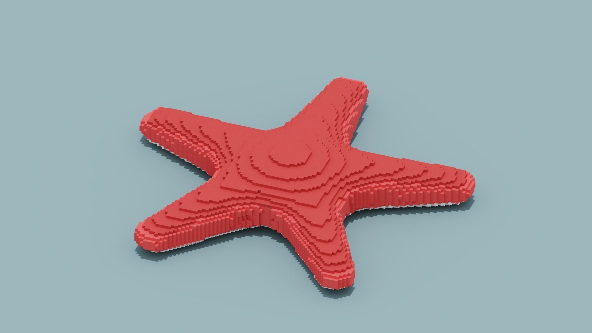 3D model Voxel Starfish VR / AR / low-poly | CGTrader