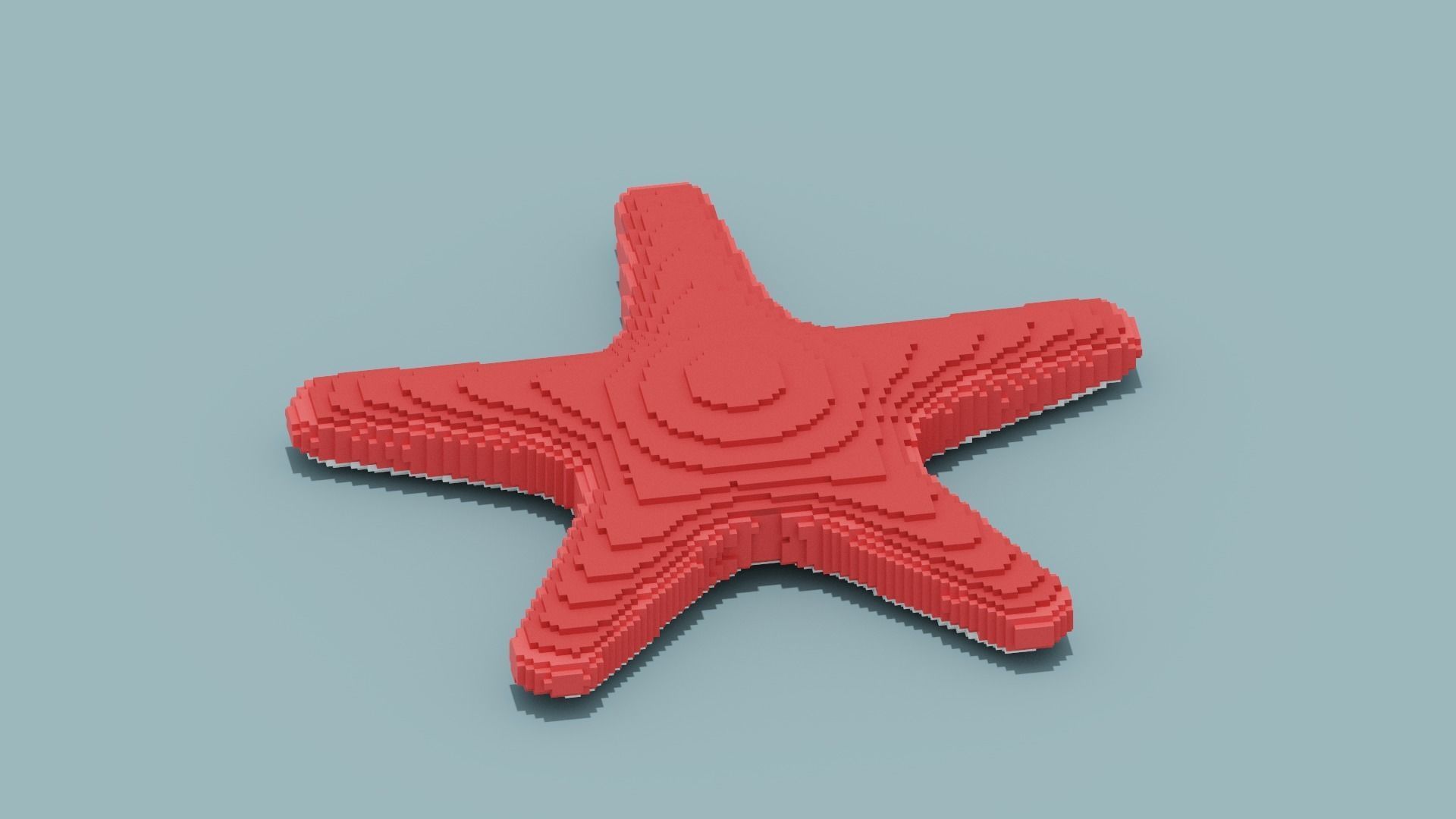 3D model Voxel Starfish VR / AR / low-poly | CGTrader