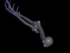 3D model Rigged Skeleton - Skeletal System - Skeleton Rig VR / AR / low ...