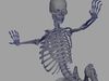3D model Rigged Skeleton - Skeletal System - Skeleton Rig VR / AR / low ...