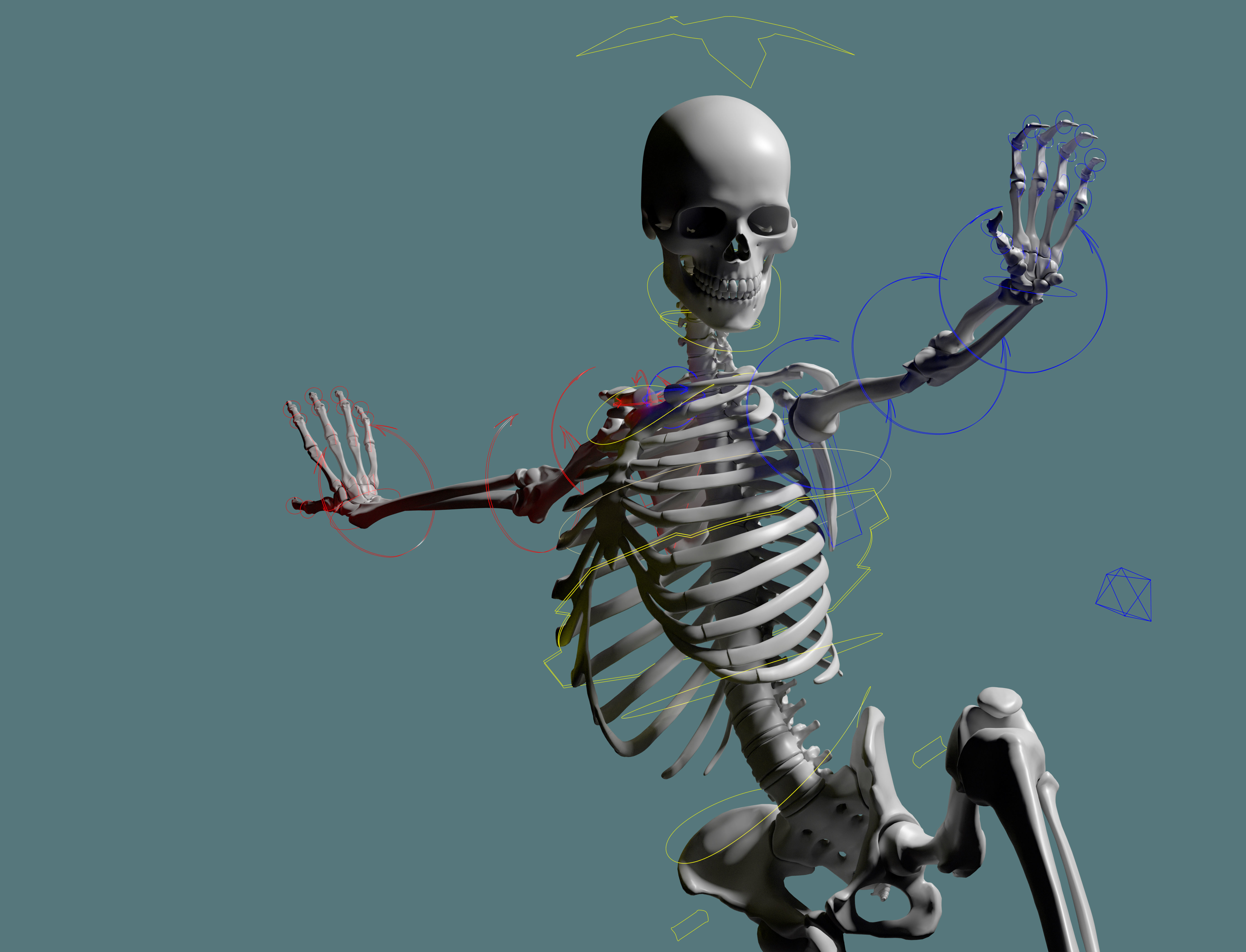 3D model Rigged Skeleton - Skeletal System - Skeleton Rig VR / AR / low ...