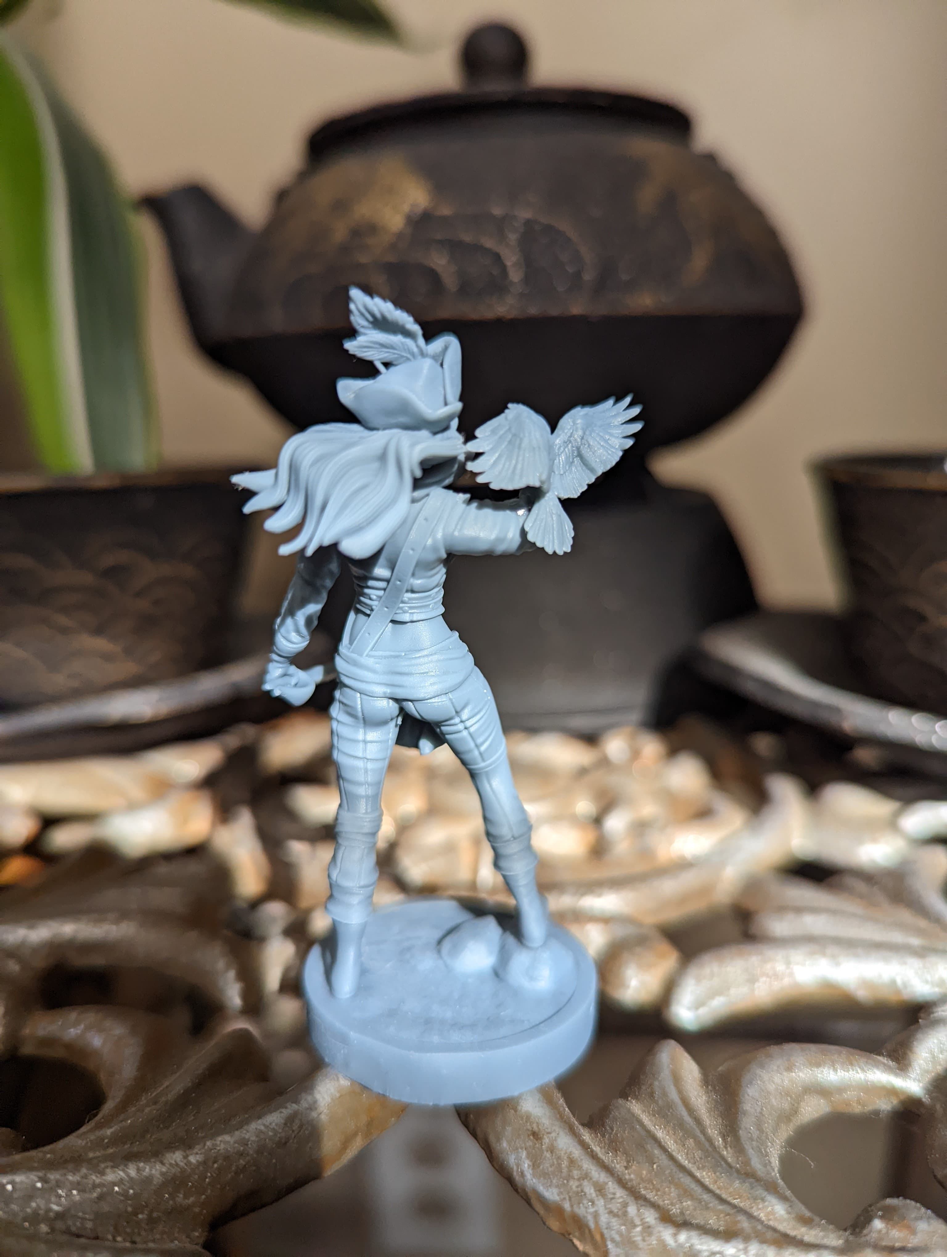 Robin woman in pirate costume holding bird 3D model 3D printable | CGTrader