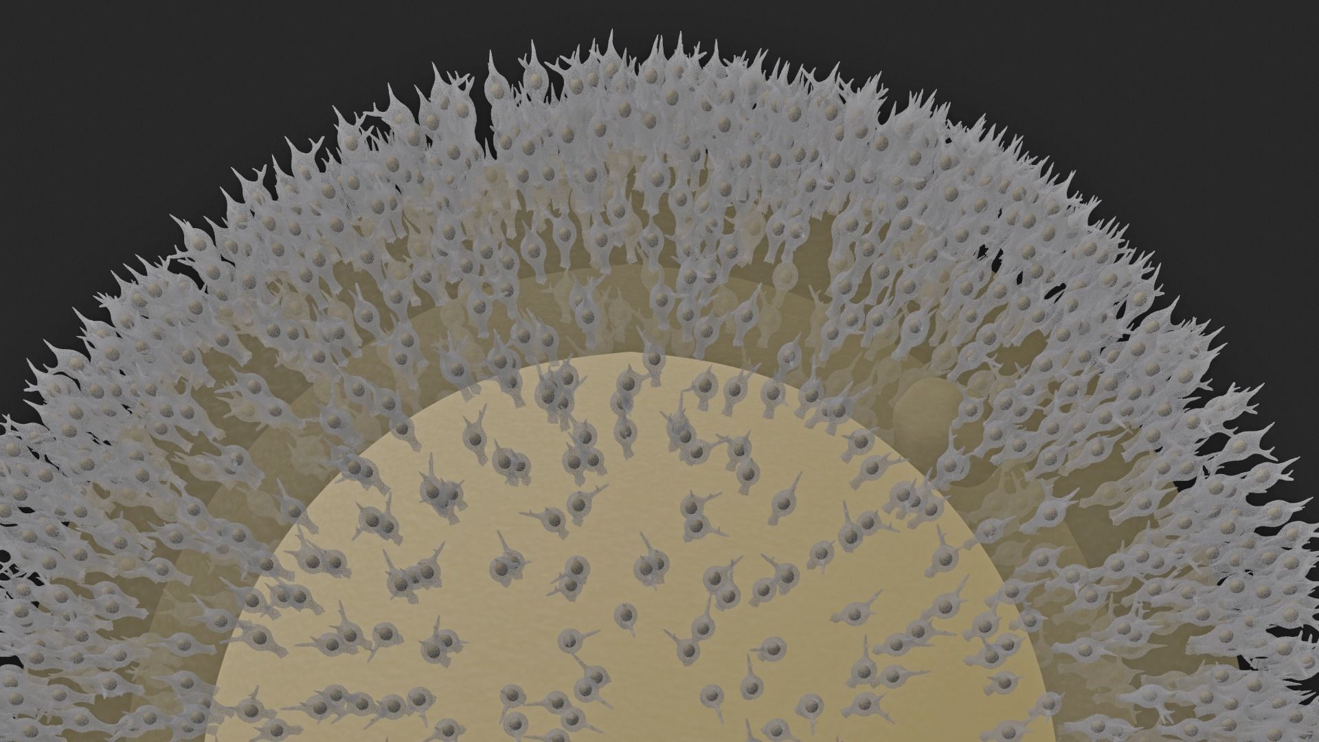 Human Egg Cell 3D model | CGTrader