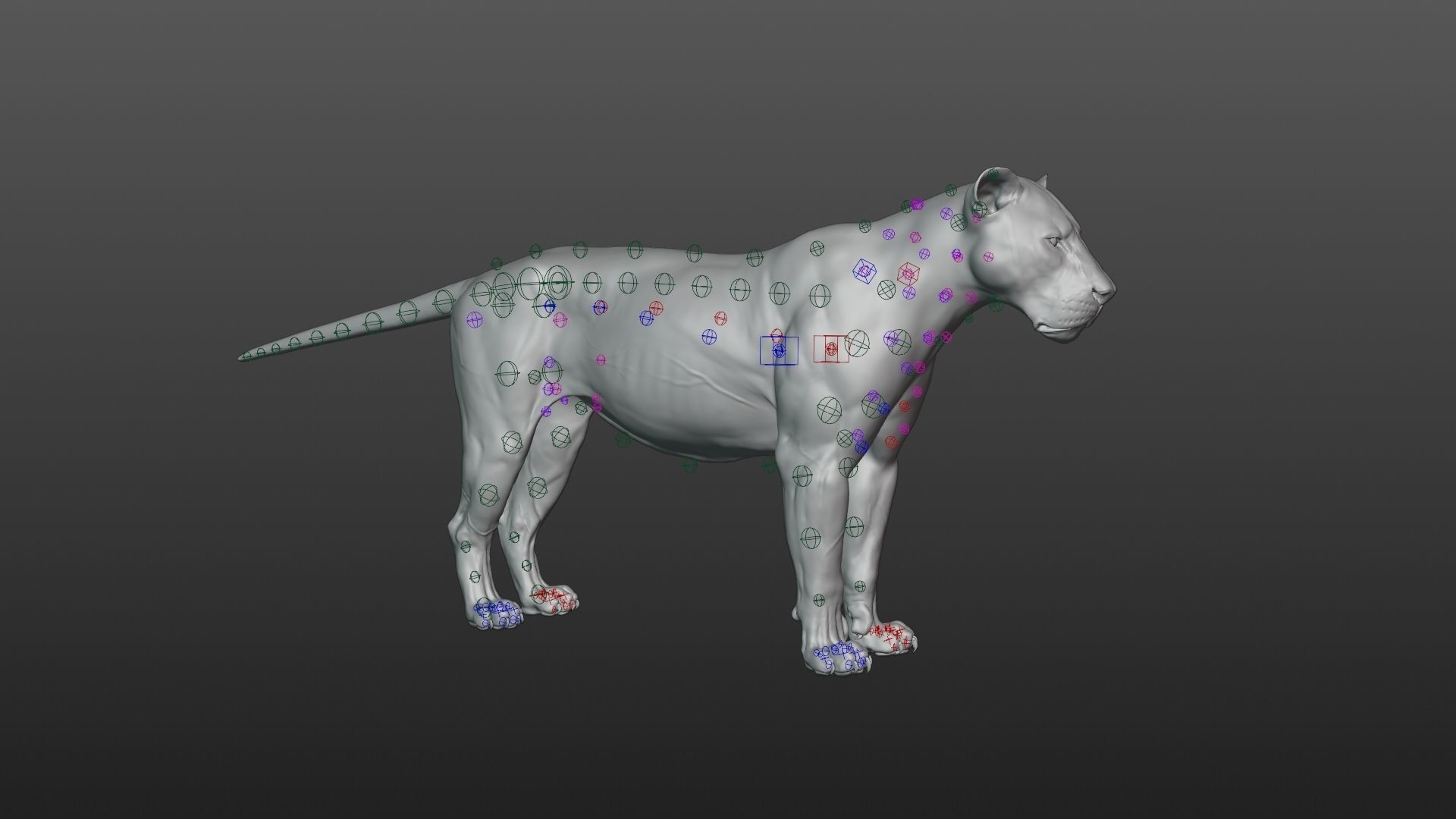Male Lion Animated VFX Grace 3D model animated rigged | CGTrader