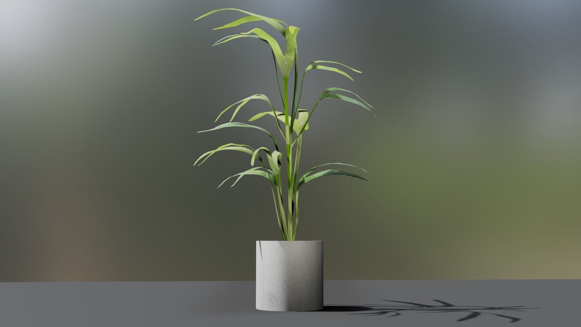 3D model indoor pot plant VR / AR / low-poly | CGTrader