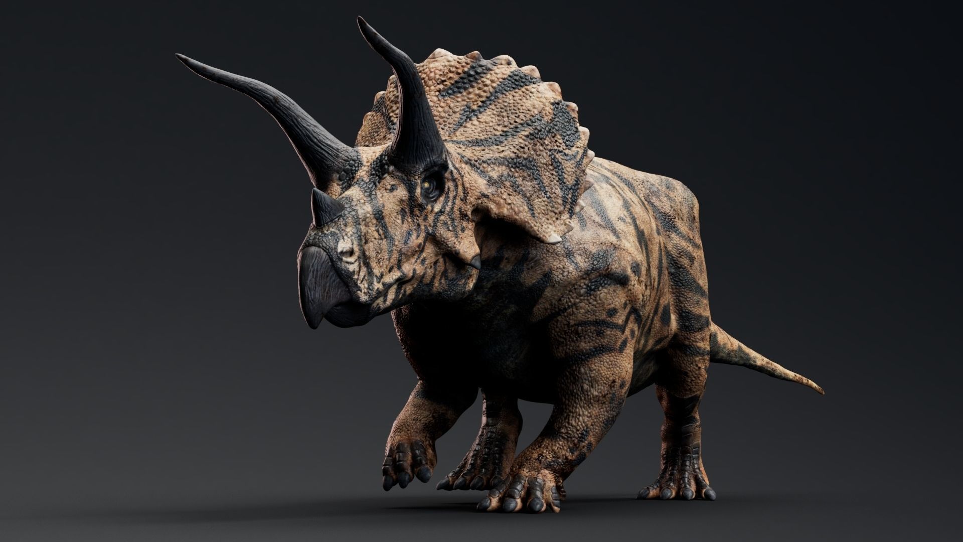 3D model Triceratops Unreal Engine and Unity Projects VR / AR / low ...