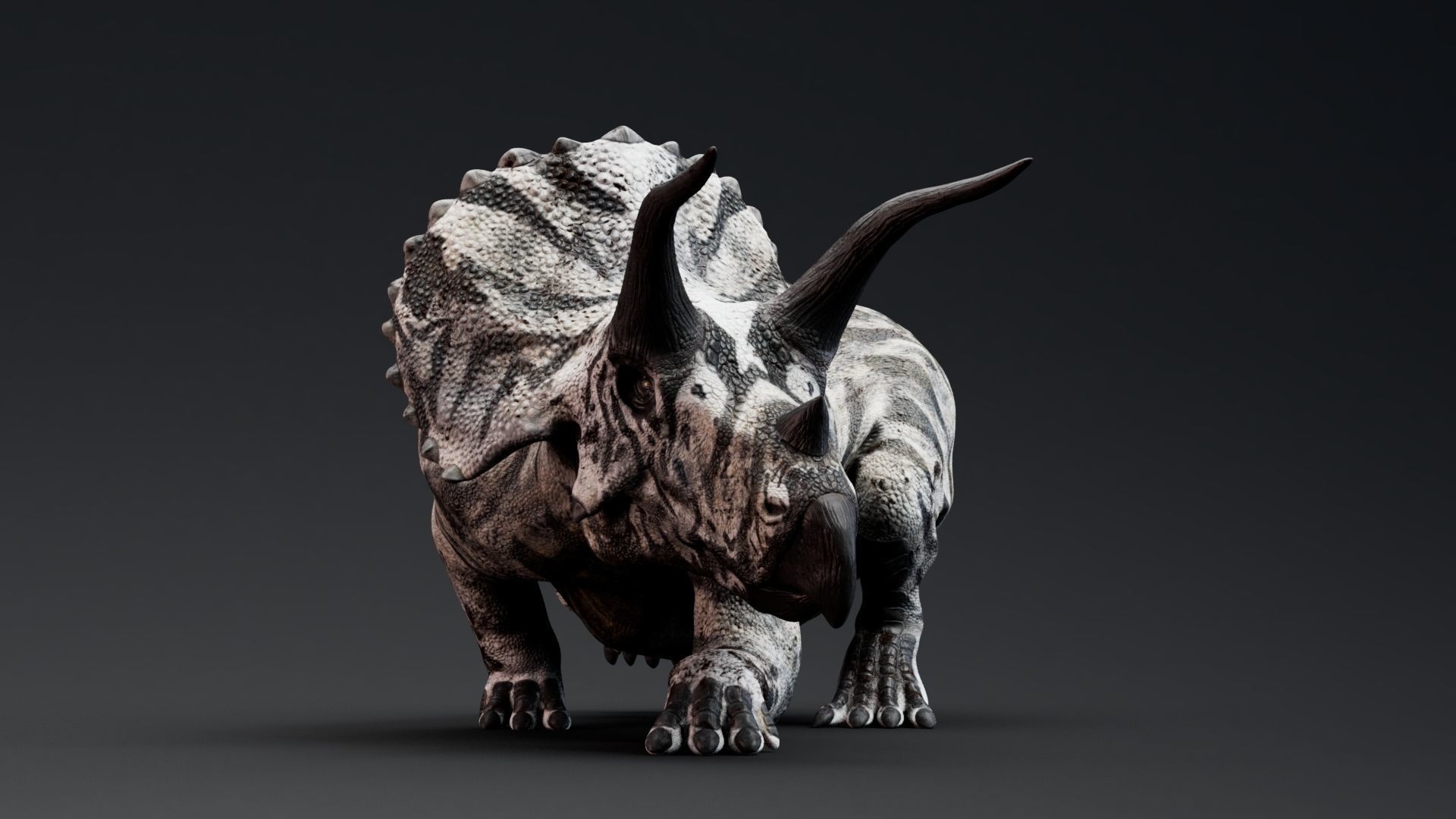 3D model Triceratops Unreal Engine and Unity Projects VR / AR / low ...