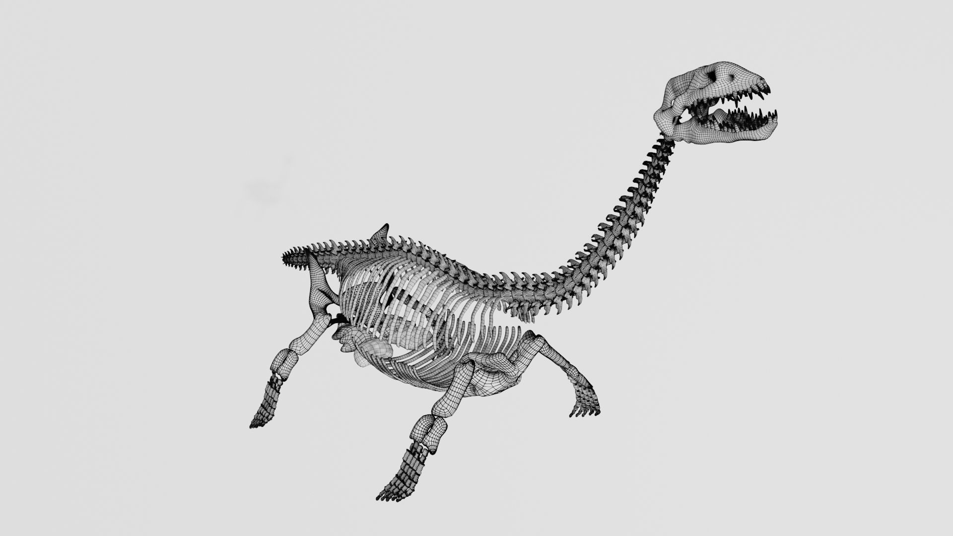Plesiosaur skeleton 3D model | CGTrader