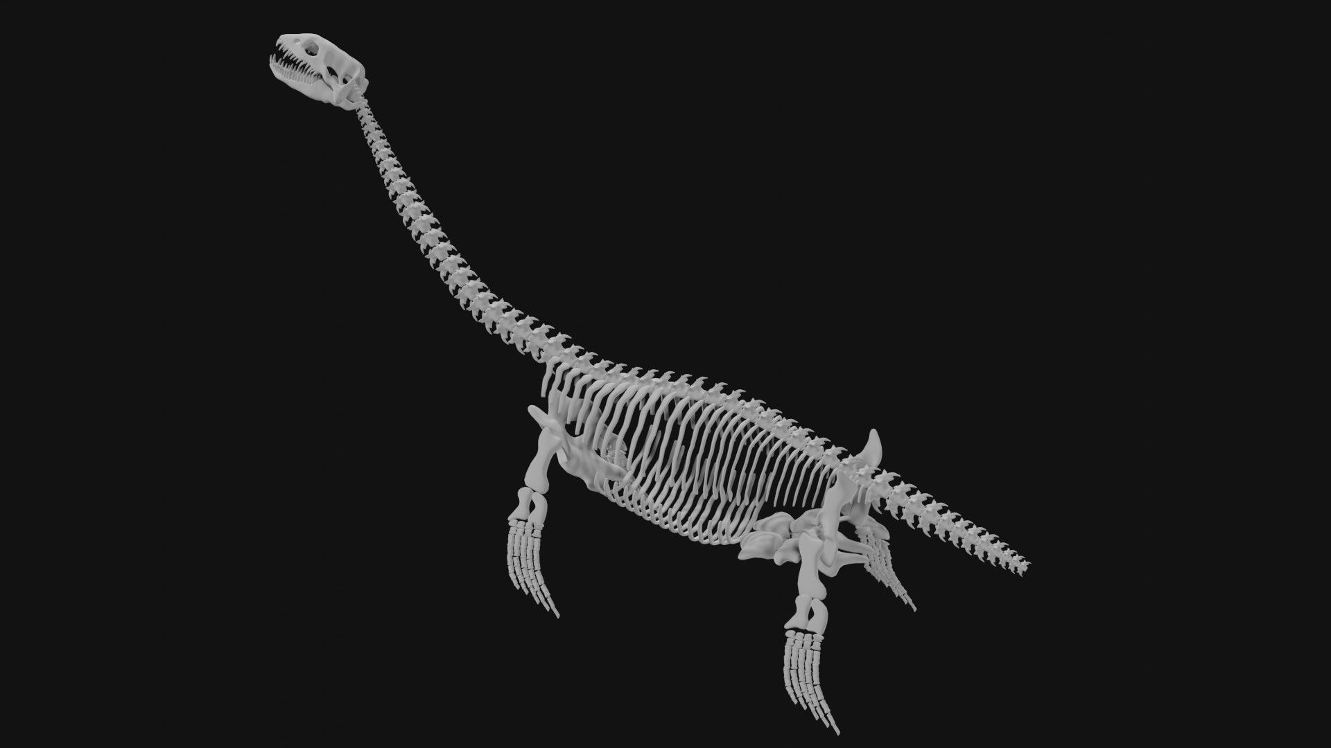 Plesiosaur skeleton 3D model | CGTrader
