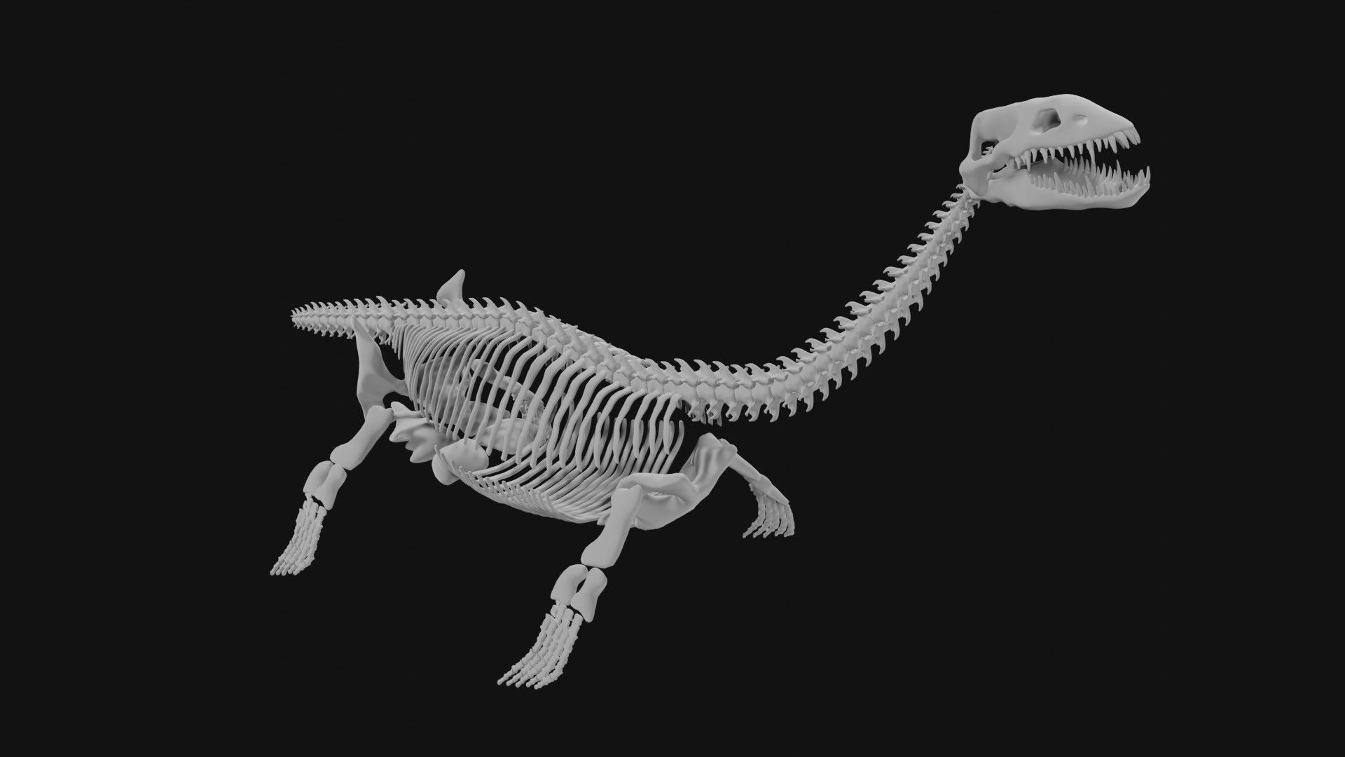 Plesiosaur skeleton 3D model | CGTrader