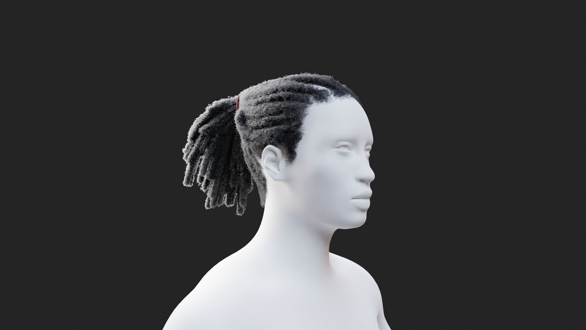 Dreadlocks Ponytail 3D model | CGTrader