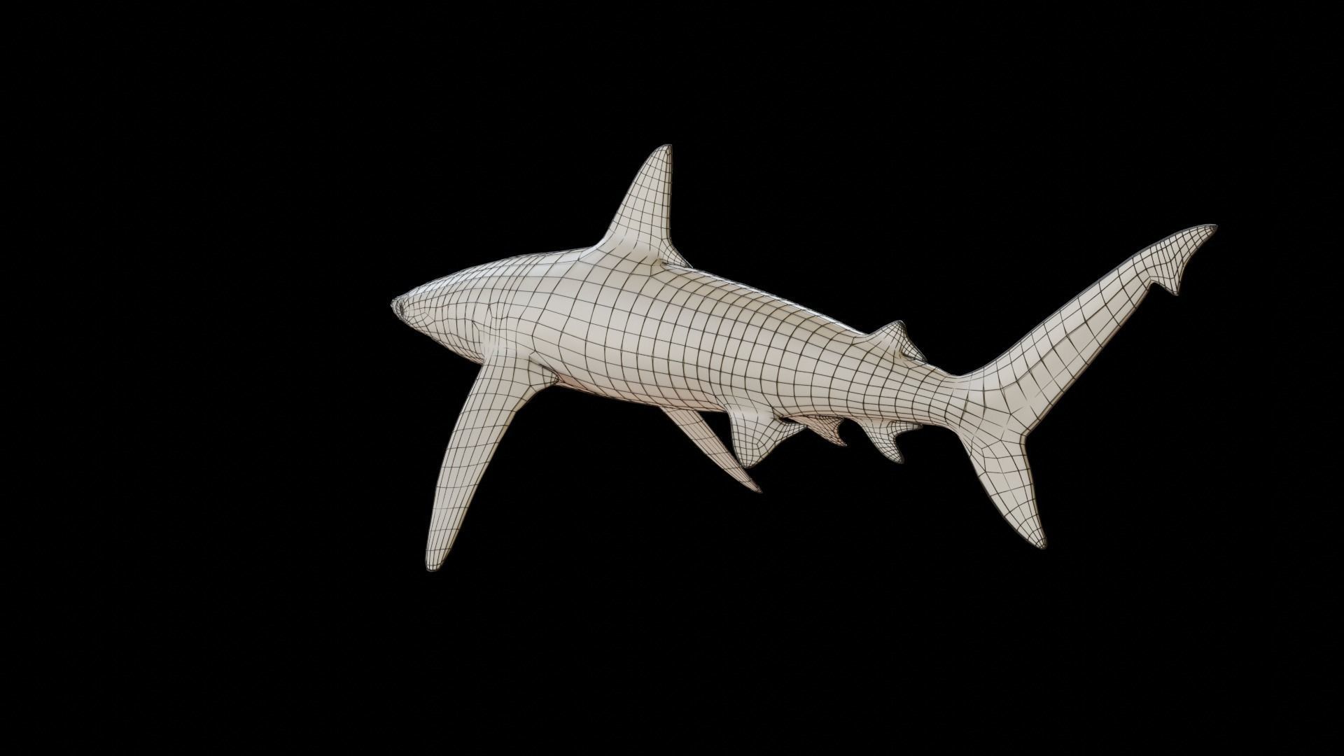 3D model Shark VR / AR / low-poly | CGTrader