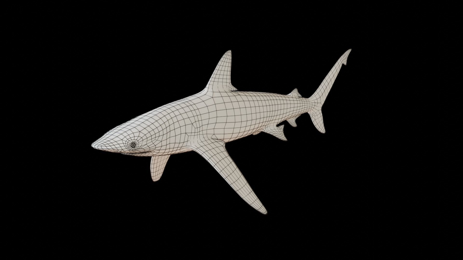 3D model Shark VR / AR / low-poly | CGTrader