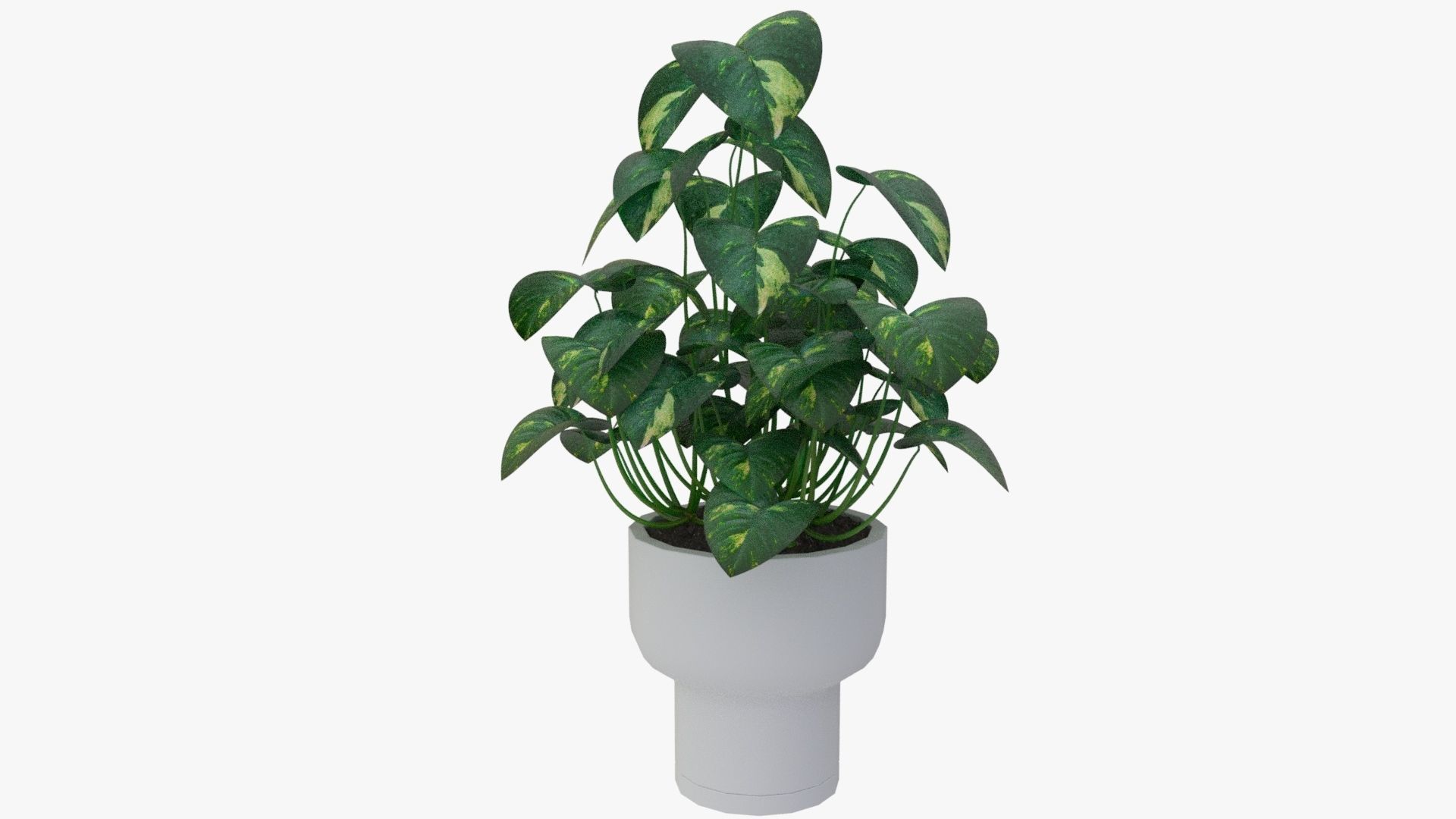 3D model Realistic Houseplants Collection plant in pot VR / AR / low ...