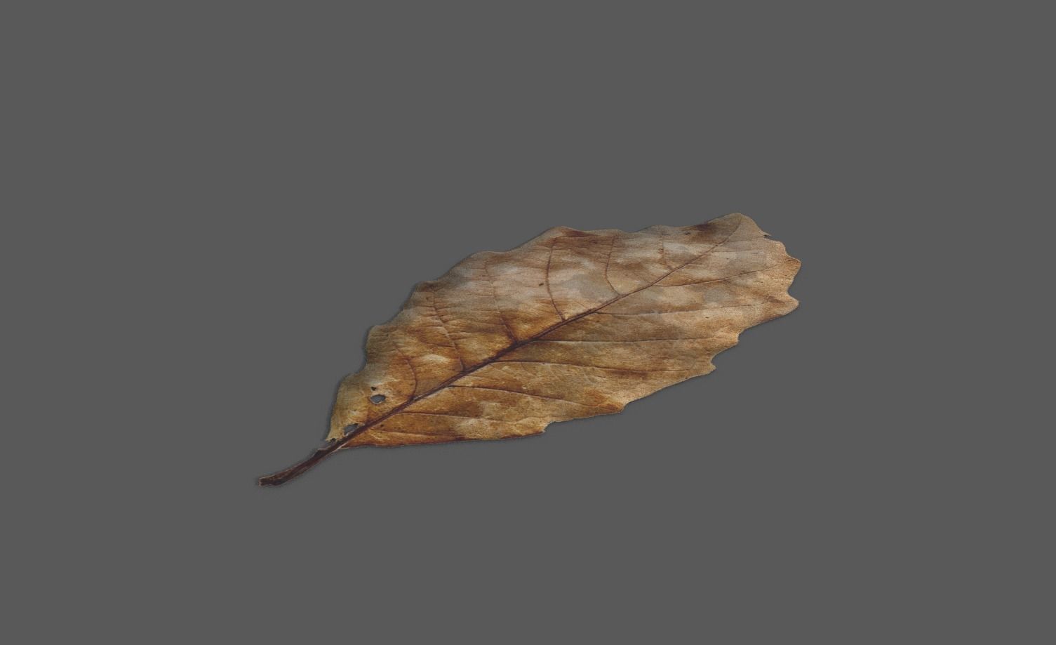 Texture 20 Leaf Material With Alpha Pack VR / AR / low-poly | CGTrader