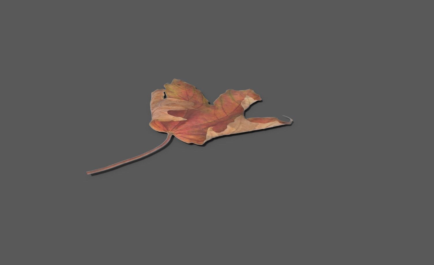 Texture 20 Leaf Material With Alpha Pack VR / AR / low-poly | CGTrader