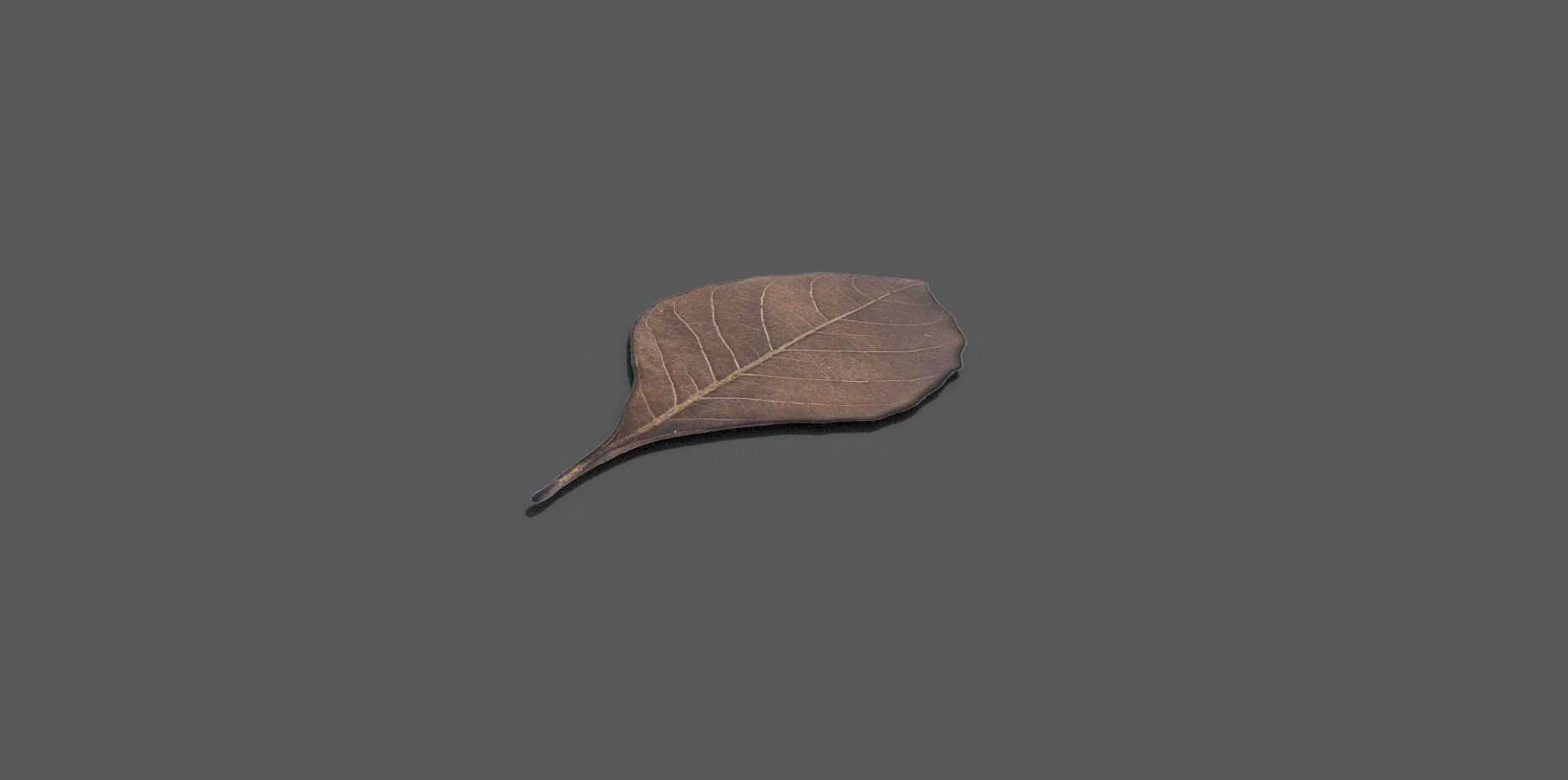 Texture 20 Leaf Material With Alpha Pack VR / AR / low-poly | CGTrader