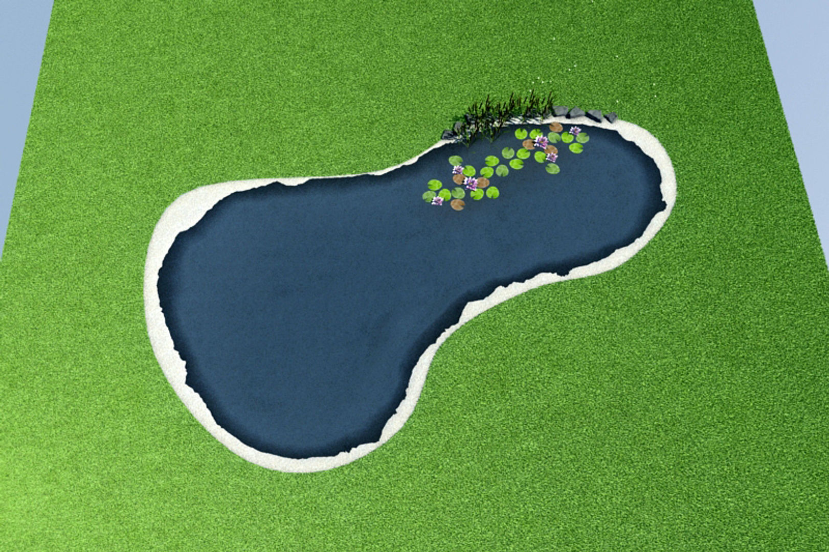Water Lily Pond 3D model | CGTrader