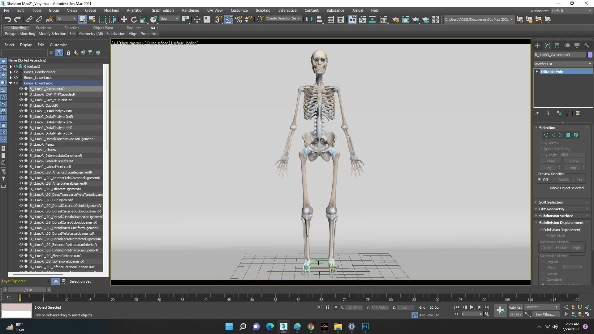 anatomically accurate human skeleton 3D model | CGTrader