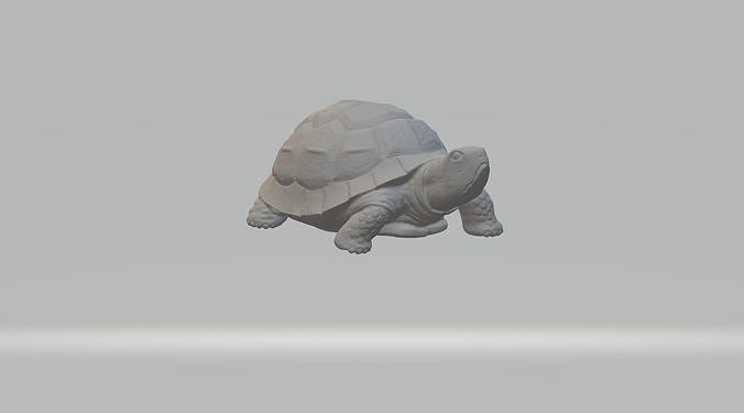 Turtle 3D Model 3D model 3D printable | CGTrader