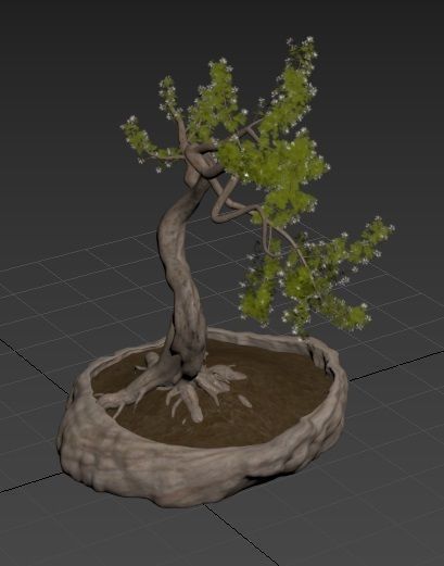 Bonsai plant 01 3D model | CGTrader