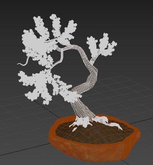 Bonsai plant 01 3D model | CGTrader