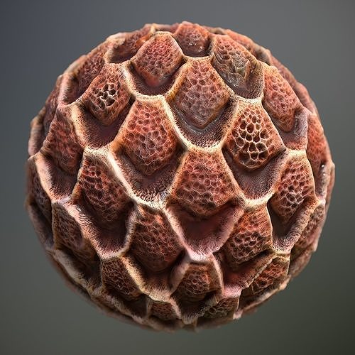 Material Skin Alien 9 Seamless PBR Texture Texture | CGTrader