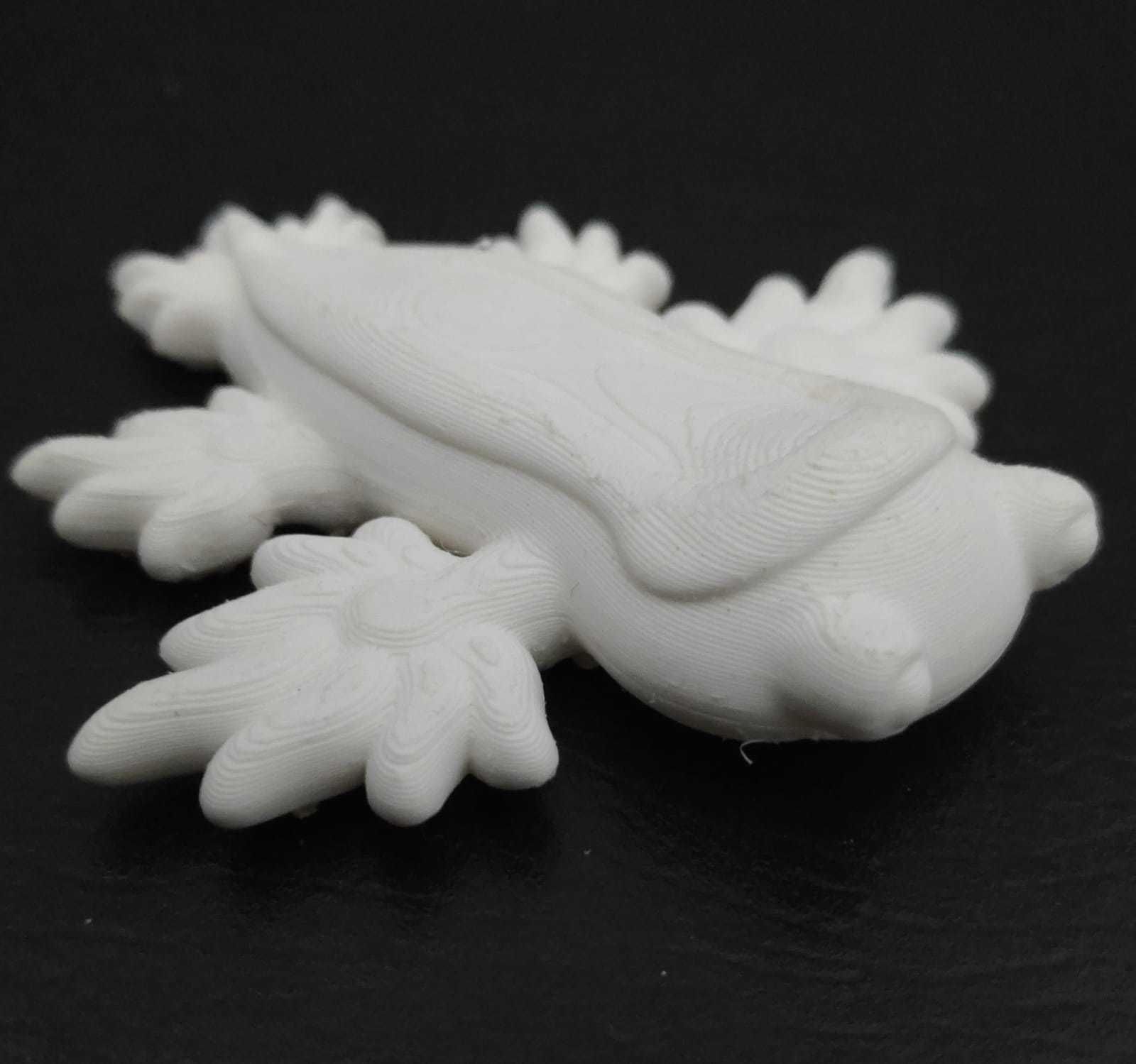 Blue Sea Dragon 3D model 3D printable | CGTrader